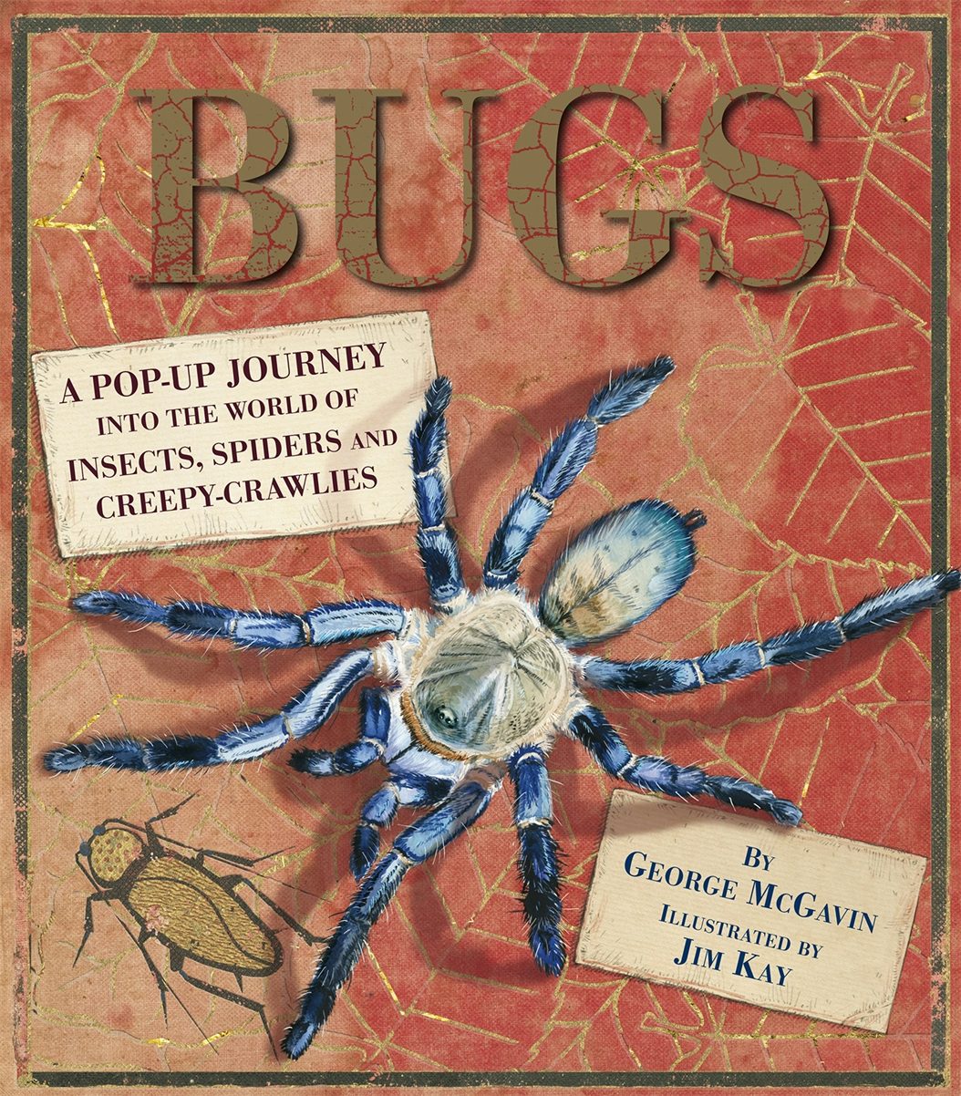 Bugs - Walker Books