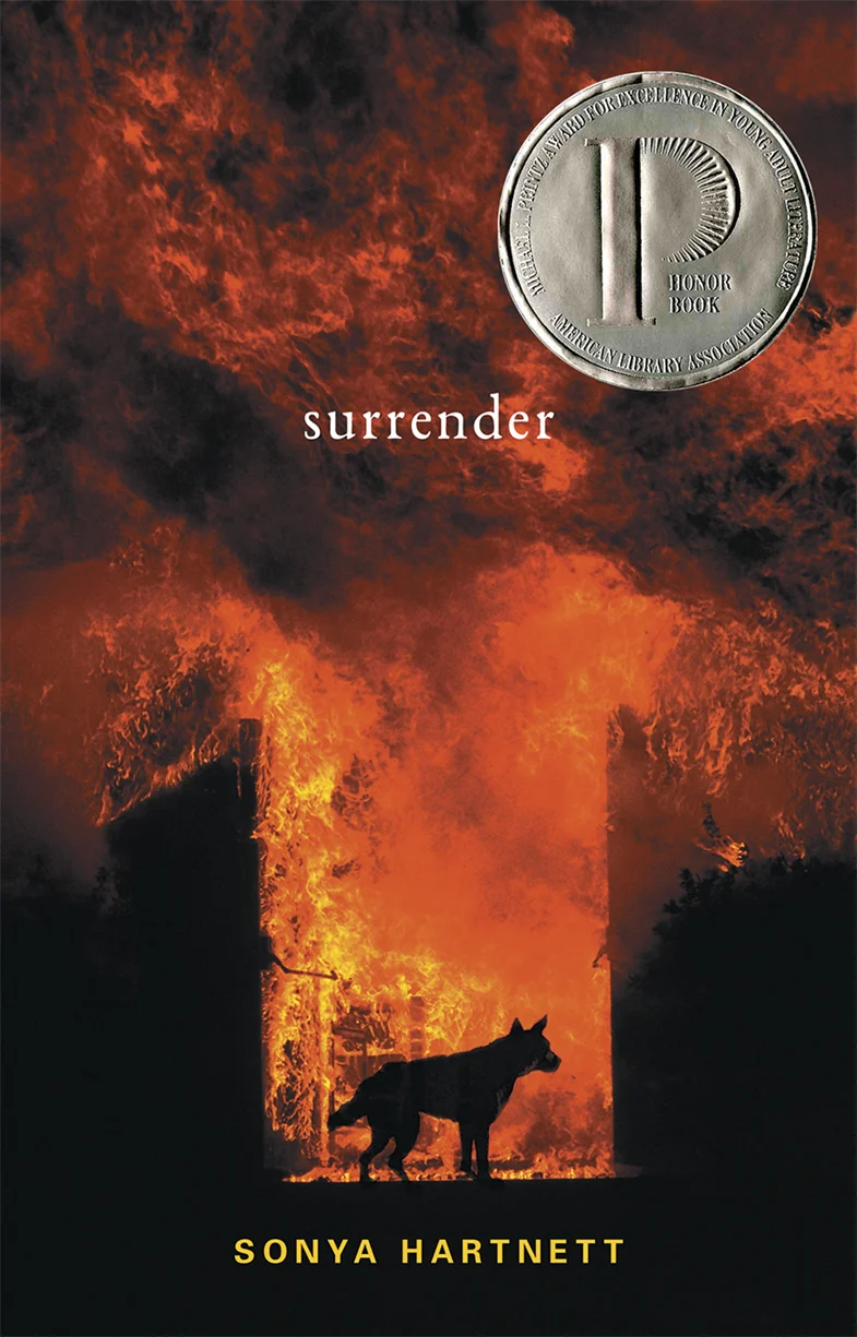 Surrender - Walker Books