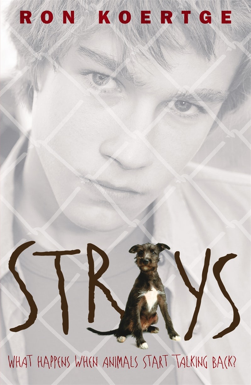 Strays - Walker Books