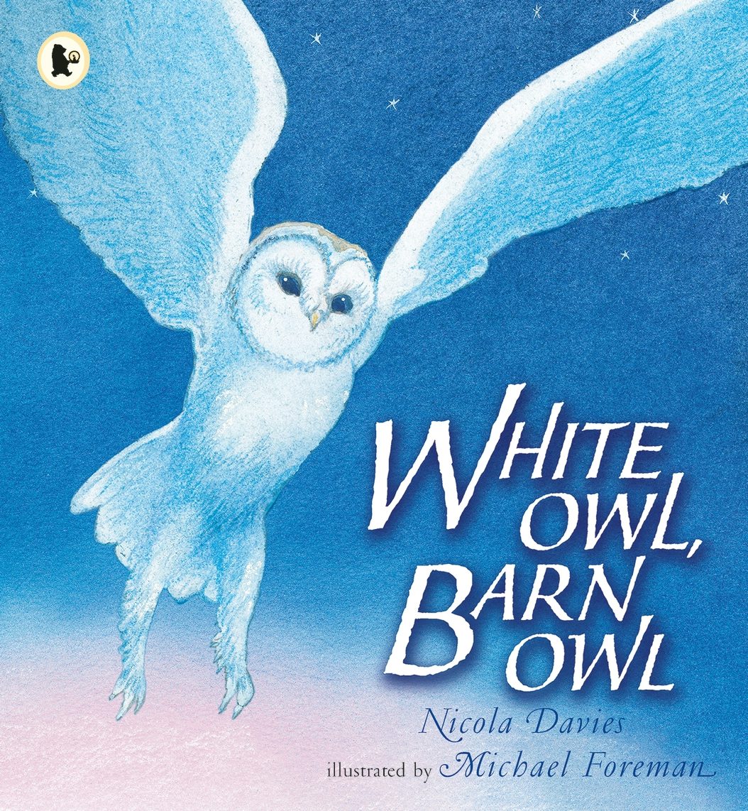 White Owl, Barn Owl - Walker Books