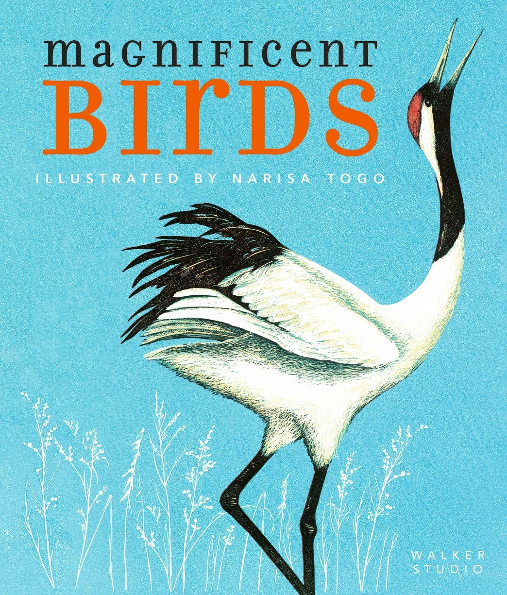 Magnificent Birds - Walker Books
