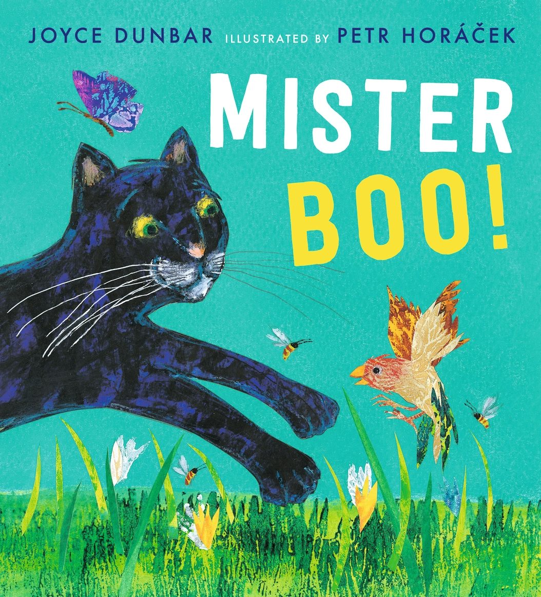 Mister Boo! - Walker Books