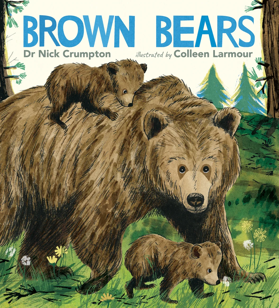 Brown Bears - Walker Books