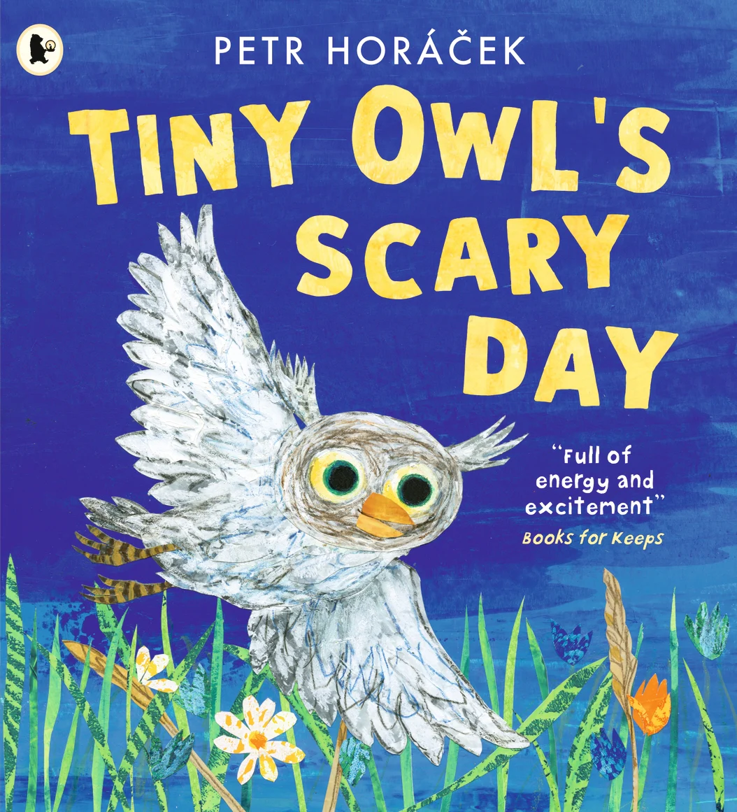 Tiny Owl's Scary Day - Walker Books
