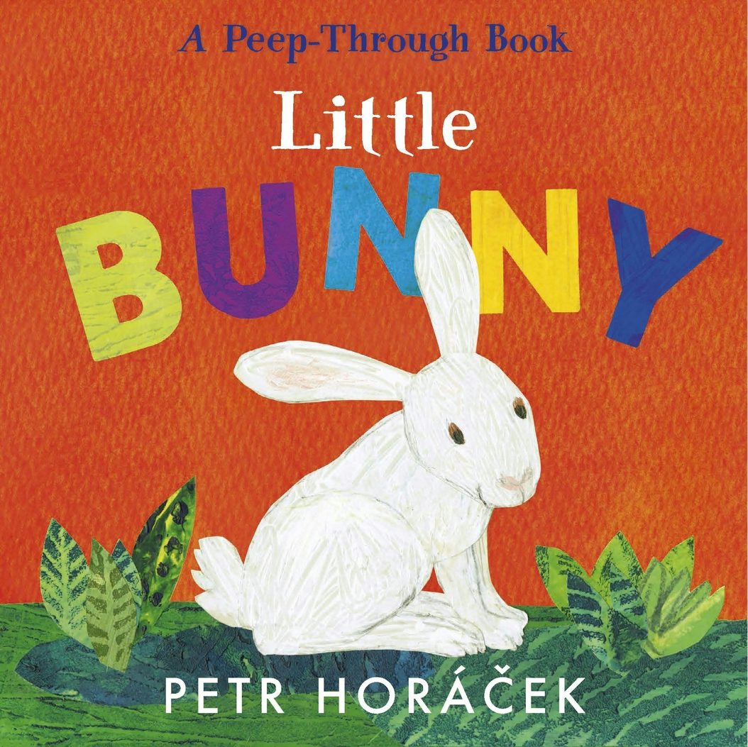 Little Bunny - Walker Books