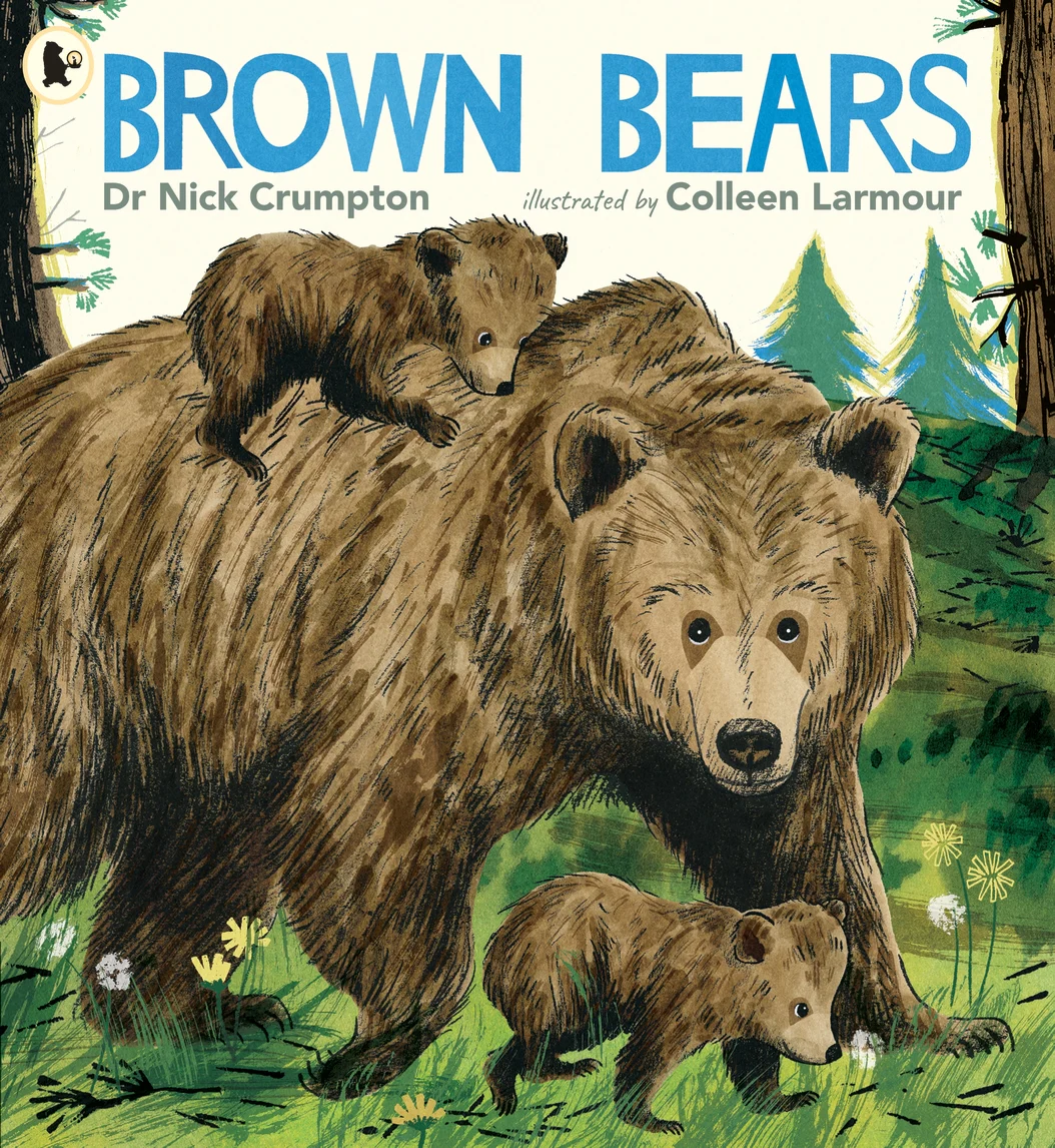 Brown Bears - Walker Books