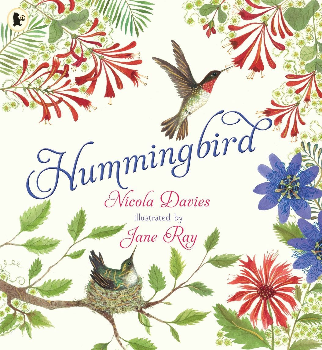 Hummingbird - Walker Books