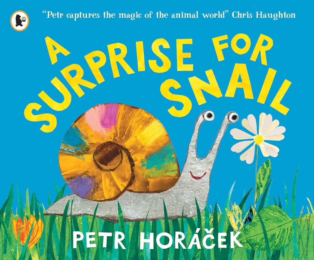 Handa's Surprise - Walker Books