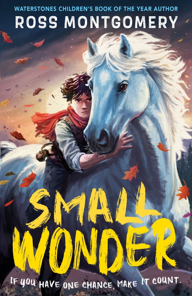 Small Wonder - Walker Books