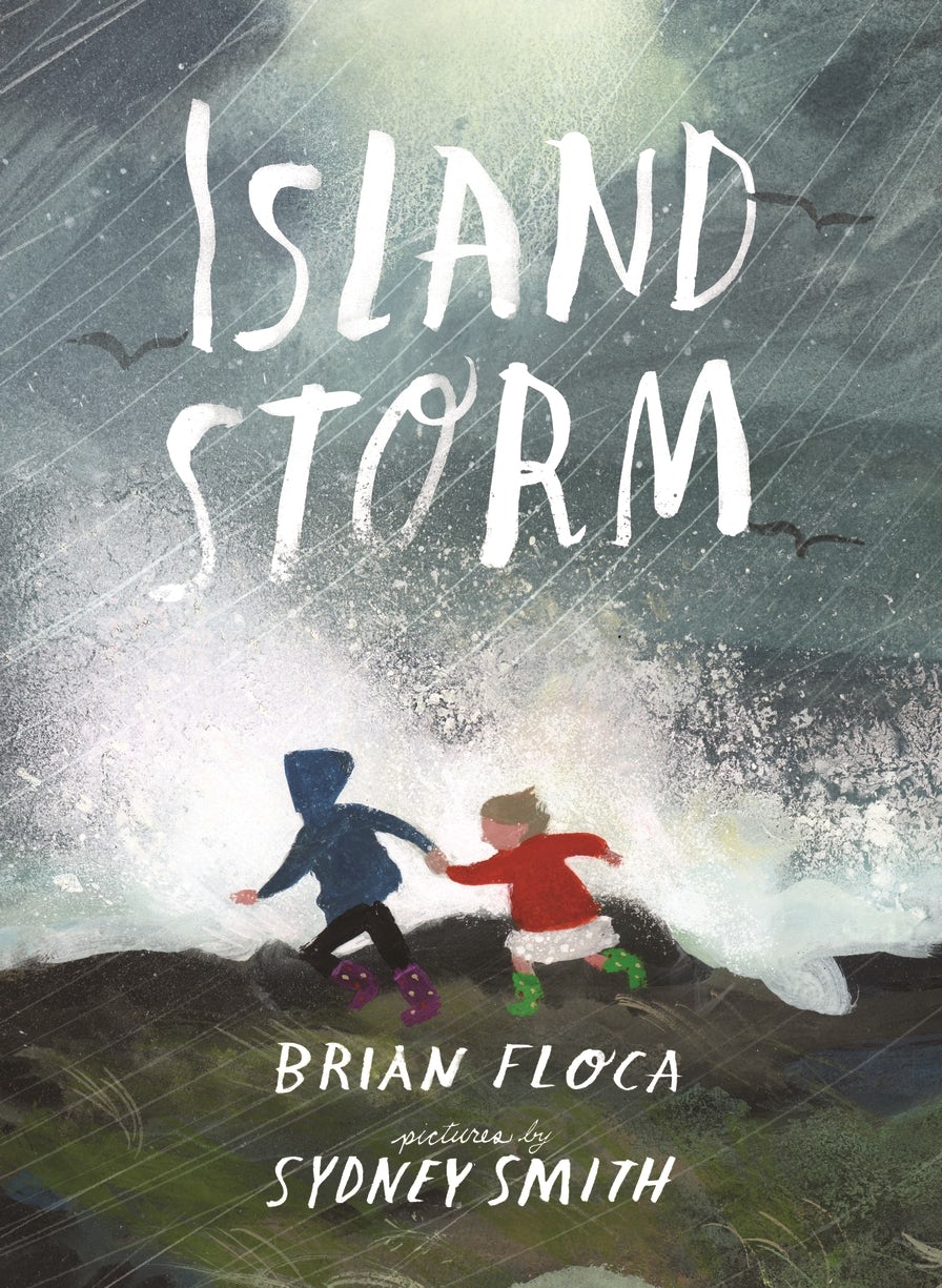 Island Storm - Walker Books