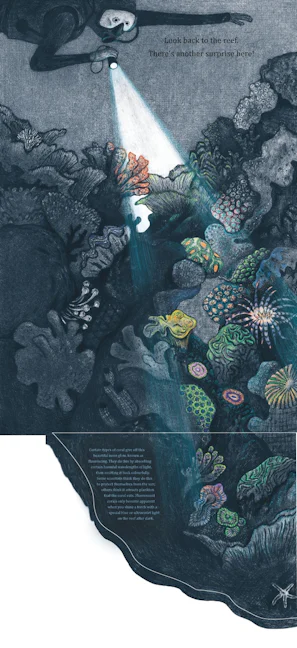 Dive, Dive into the Night Sea - Walker Books