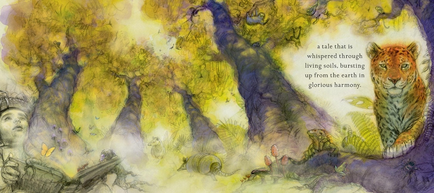 The Crown - Walker Books