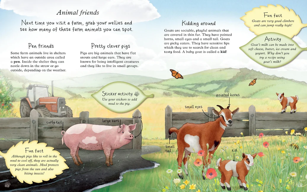 We're Going on a Bear Hunt: Let's Discover Farm Animals - Walker Books