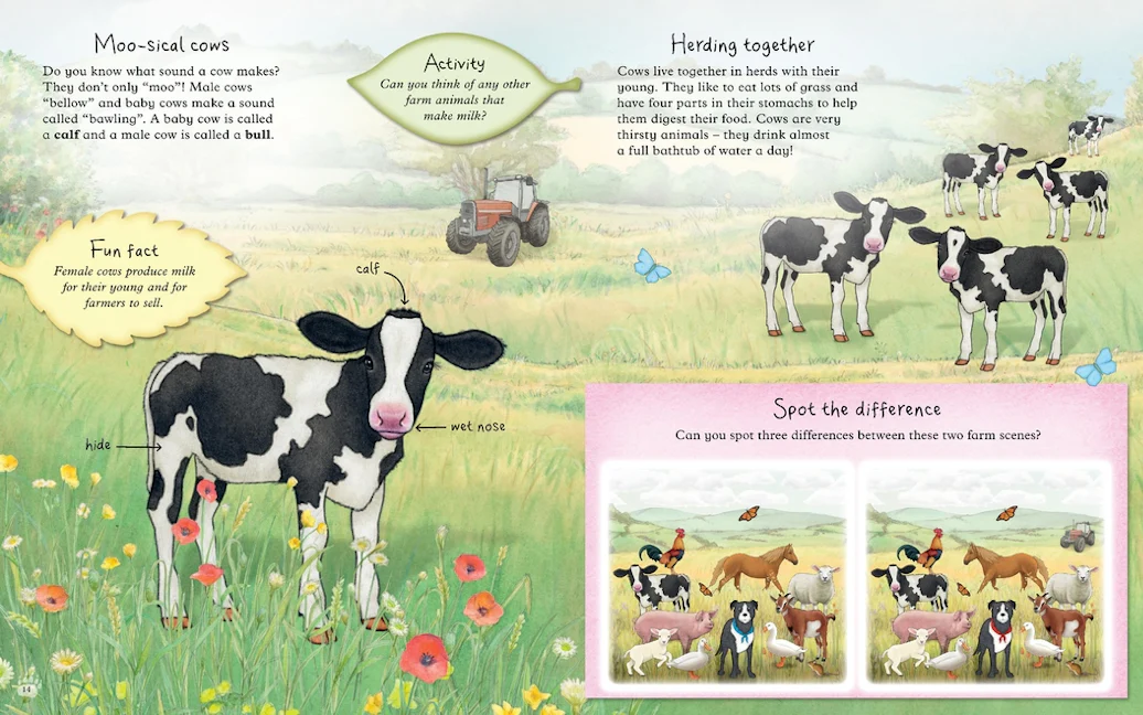 We're Going on a Bear Hunt: Let's Discover Farm Animals - Walker Books