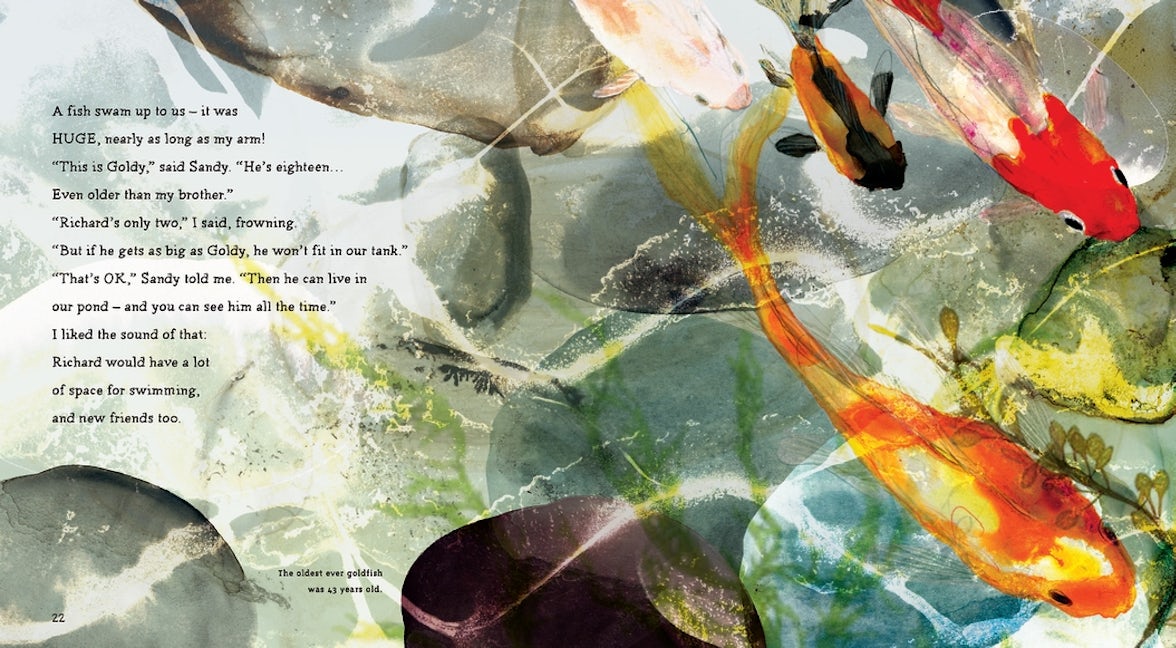 My Pet Goldfish - Walker Books