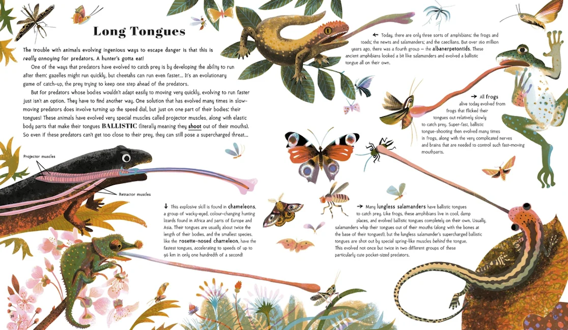 Animal Super Powers: The Most Amazing Ways Animals Have Evolved ...