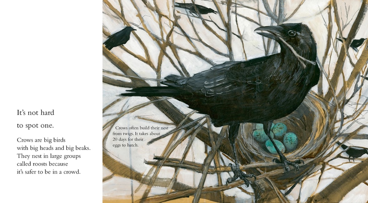 Clever Crow - Walker Books