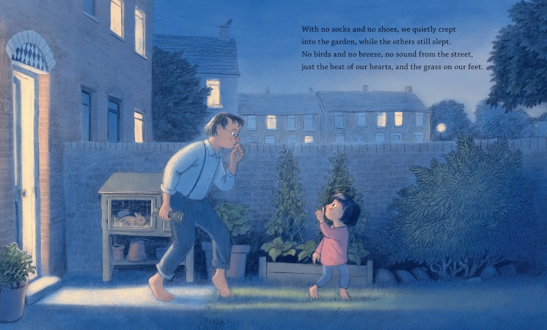 The Night of the Hedgehog - Walker Books