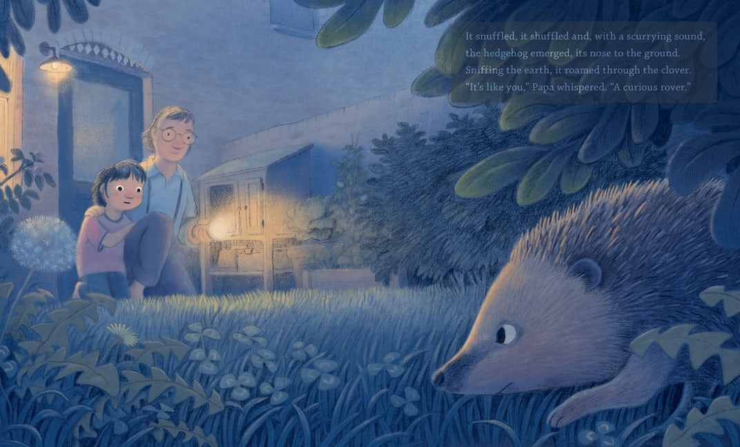 The Night of the Hedgehog - Walker Books